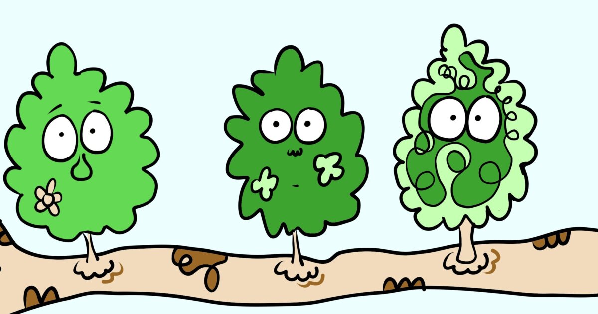 The Big Draw 2025: Drawn Together - The Big Draw